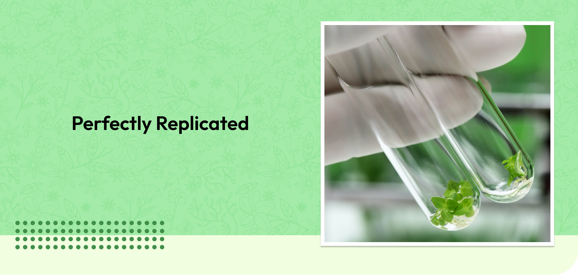 Perfectly Replicated – MGN Liners