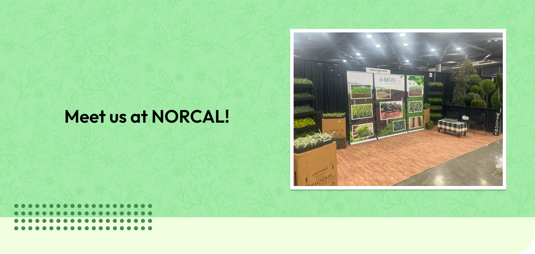 Meet us at NORCAL! – MGN Liners