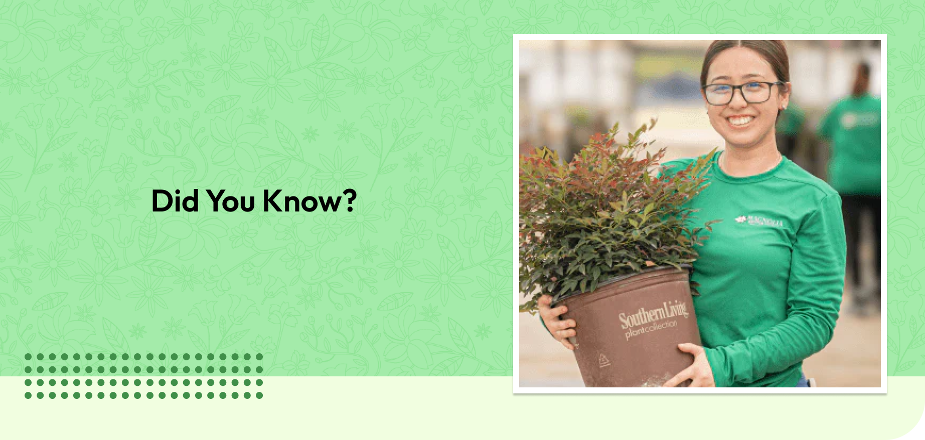 Did You Know? – MGN Liners