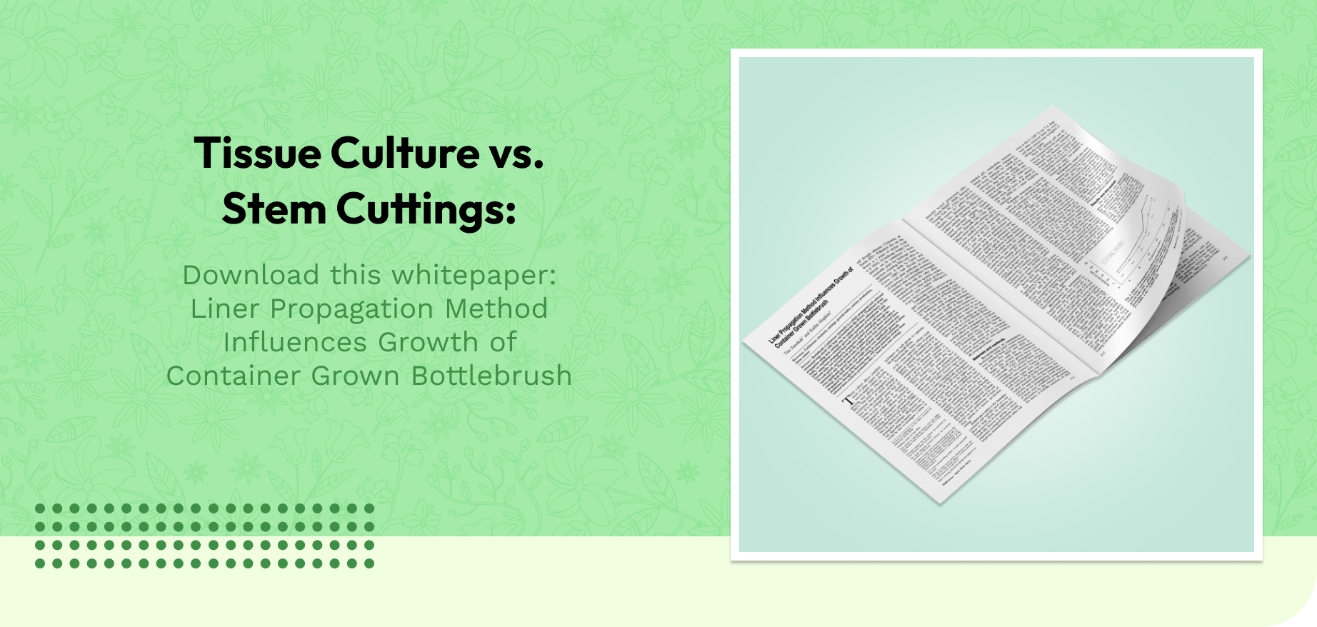 Tissue Culture vs. Stem Cuttings – MGN Liners