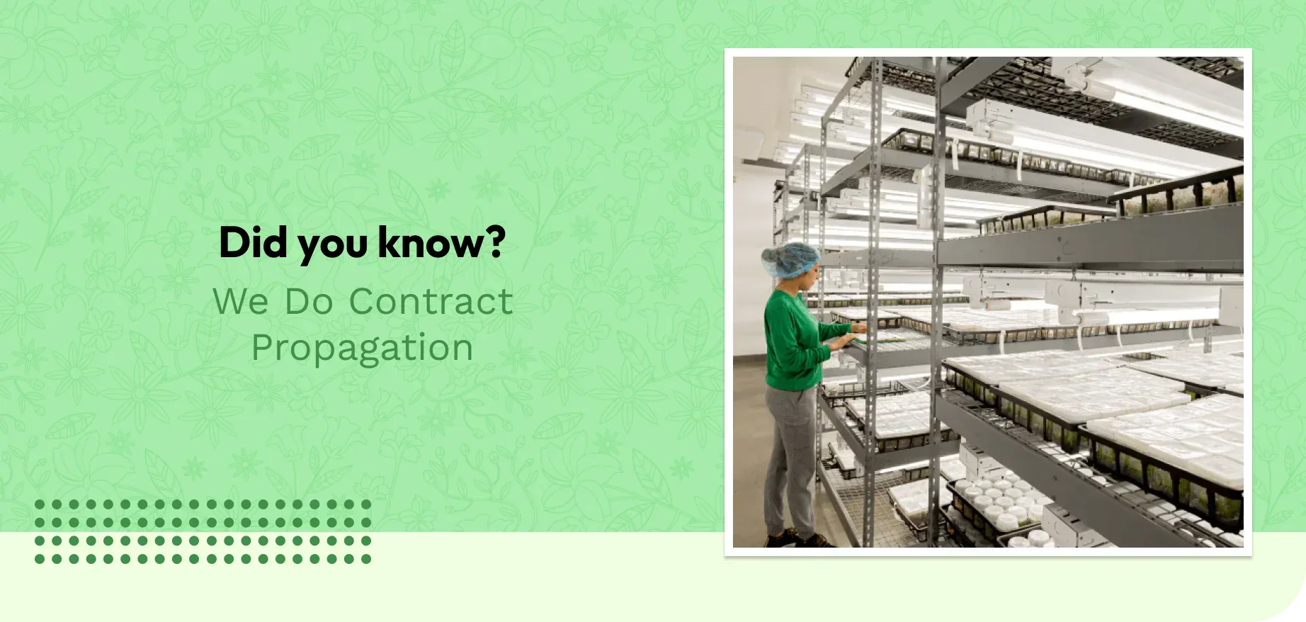 Did You Know? We Do Contract Propagation – MGN Liners